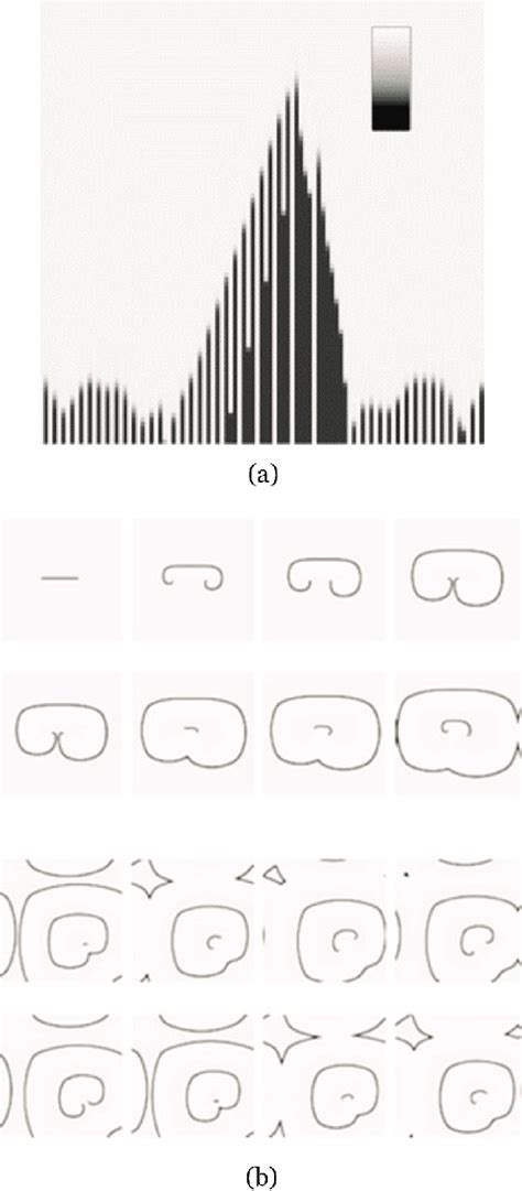 Pattern Formation A Spatial Pattern Formation And B Clockwise Download Scientific Diagram