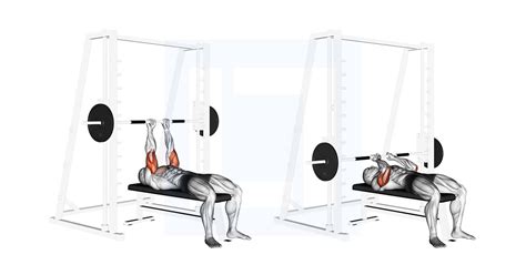 Dumbbell Preacher Curl Guide Benefits And Form
