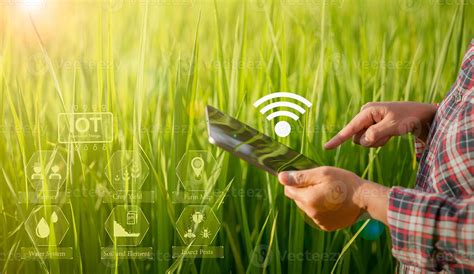 Agriculture Technology Farmer Holding Digital Tablet Or Tablet Technology To Research About