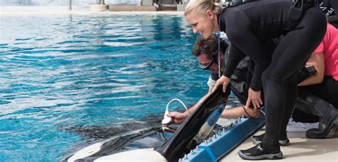 Cognitive Bias Archives Awesome Ocean