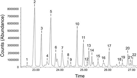 Gc Chromatogram