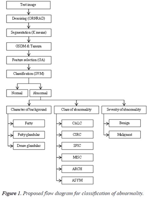 An Improved Cad System For Abnormal Mammogram Image Classification