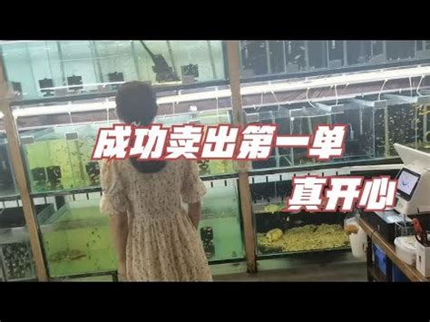 水族创业第26天终于迎来第一单离我的一百万又进了一步 YouTube