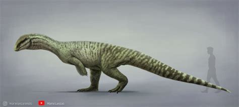 Paleoart Mariolanzas On Tumblr