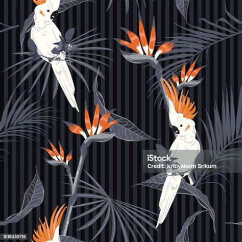 패션 섬유 및 모든 지문에 대 한 흰색 앵무새 새 패턴 원활한 벡터와 모노톤 열 대 숲와 검은색과 회색 줄무늬 마코앵무새에 대한