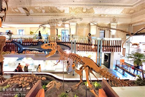 台北室內景點【土銀展示館】國立臺灣博物館古生物館～銅板價看巨大恐龍、逛神秘金庫 兔兒毛毛姊妹花