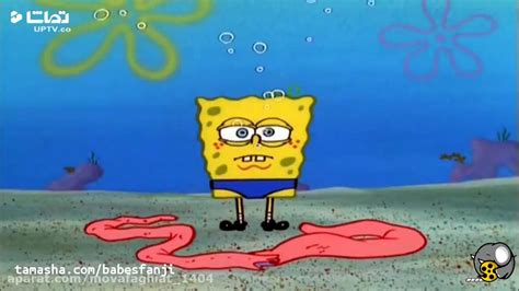 انیمیشن باب اسفنجی و پاتریک ستاره فیلو