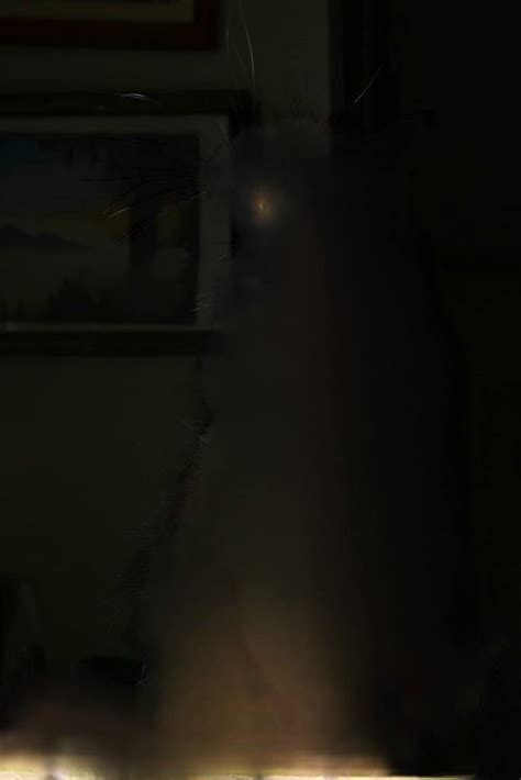 Image Matting With State Of The Art Method F B Alpha Matting Learnopencv