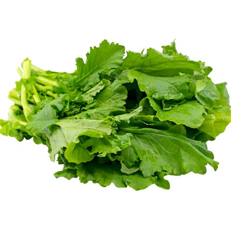 Rapini Leaves Bunch — Spice Divine