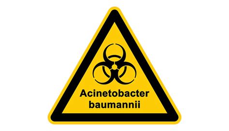 Acinetobacter Baumannii A Growing Concern Aapc Knowledge Center