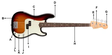 Parts Of The Bass Guitar Atelier Yuwaciaojp