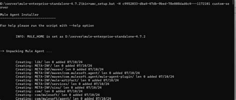 Mule Standalone Runtime Setup And Registering With Anypoint Platform Tgh