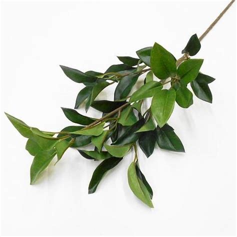 楽天市場リアル シキビ シキミ Sサイズ 48cm造花フェイクグリーン造葉人工観葉植物フラワーデコレーション ハセガワ