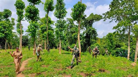 Two Killed Three Injured In Firing At Assam Arunachal Border Cm Sarma