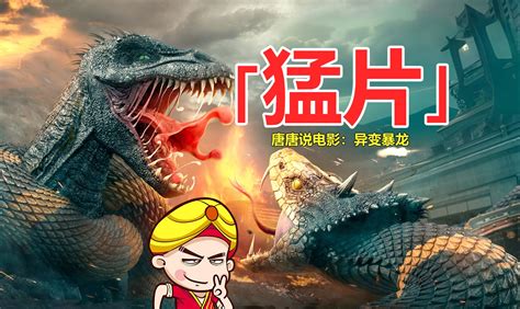 【唐唐】爆笑解说国产怪兽片《异变暴龙》大战三角巨蛇！ Big笑工坊 Big笑工坊 哔哩哔哩视频