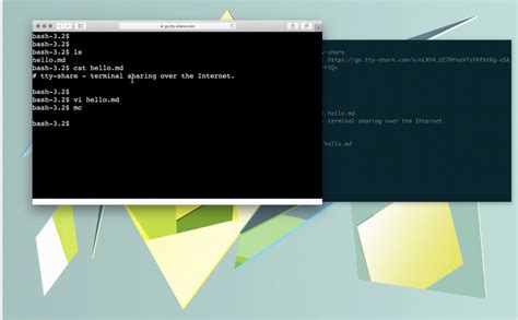 Github Elisescu Tty Share Share Your Linux Or Osx Terminal Over The