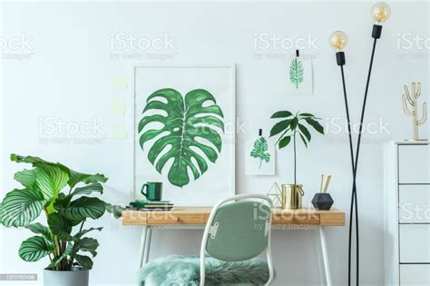 현대 스 칸디 나 비아 꽃 개념 모의 포스터 프레임 많은 식물 사무실 액세서리 디자인 찬 장 및 램프와 책상 Homeoffice 책상의 아늑한 구성입니다 0명에 대한 스톡