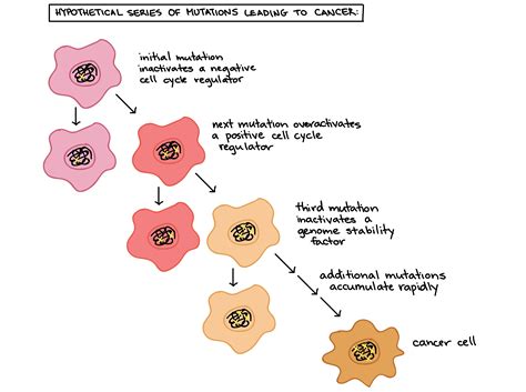 Programmed Cell Death And Cancer Biology The Biology Of Sex And Death