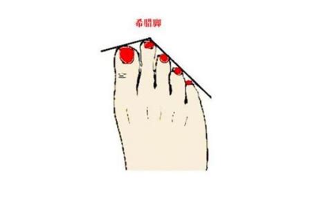 女人的脚型看一生命运劳碌之命还是享福之命你确定不来看看 希腊 一生 脚趾 新浪新闻