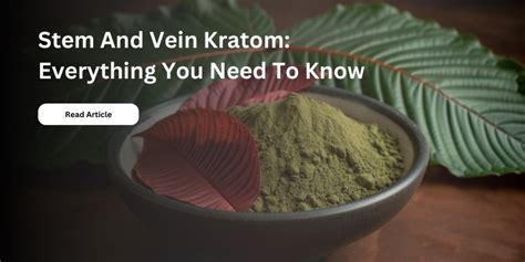 Stem And Vein Kratom Everything You Need To Know