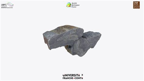 Fold Interference Pattern Download Free 3d Model By Société