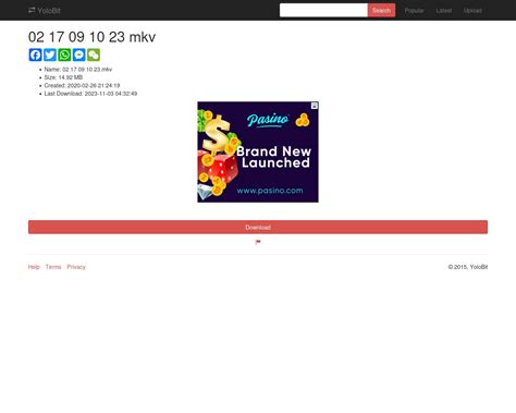 Report V3f3b77