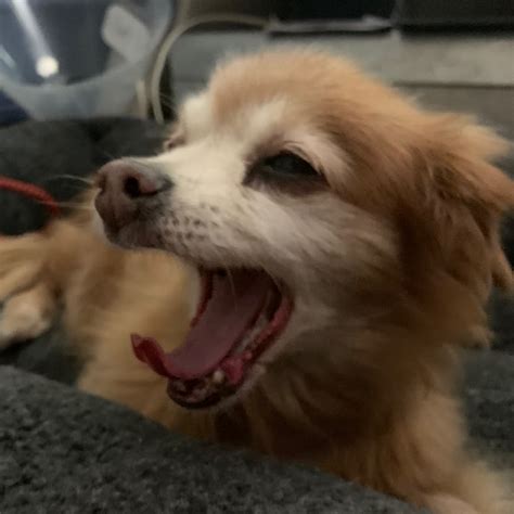 Jason Cabral Youtube