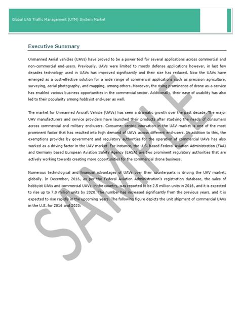 Global Uas Traffic Management System Market Executive Summary Pdf