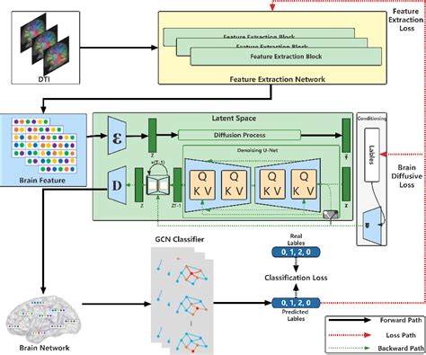 Brain Diffuser An End To End Brain Image To Brain Network Pipeline Paper And Code CatalyzeX