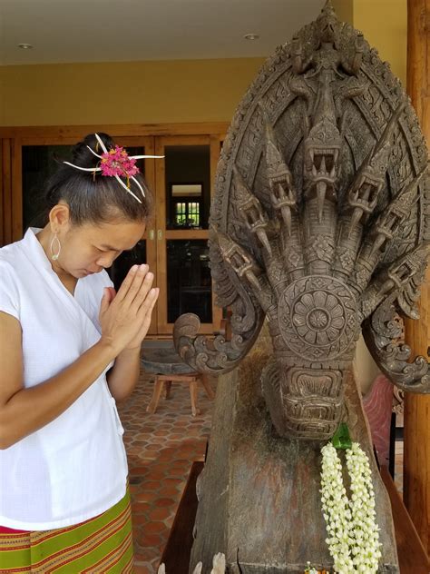 วันพระสวัสดีเจ้า คิดดู สวนดอกเก็กฮวยอินทรีย์ บ้านลุงเคน