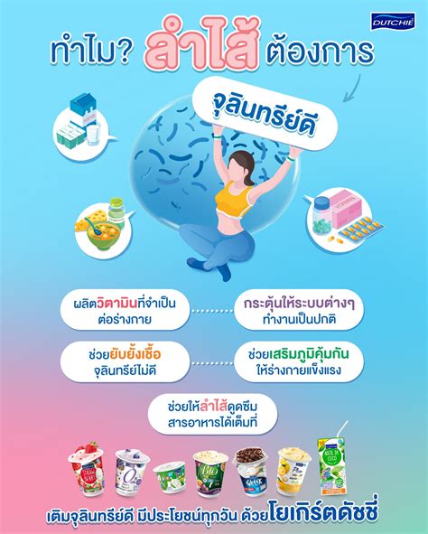 ดัชมิลล์ประจวบคีรีขันธ์ ดัชมิลล์ประจวบคีรีขันธ์