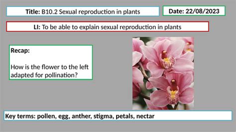 Igcse Co Ordinated Science B10 Reproduction All Lessons Teaching Resources