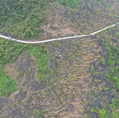 河池三轮车违法载人翻下山坡致6死2伤 所略乡 车辆 龙凤村