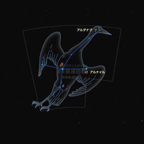 つる座カラー星図やさしい88星座図鑑