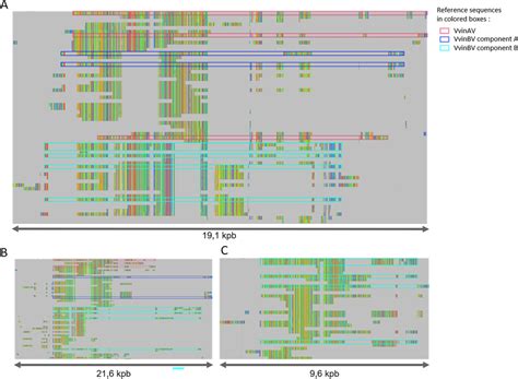 overview of the multiple sequence alignments obtained for the