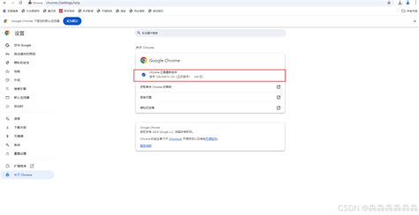 Javaseleniumchromedriver谷歌版环境搭建java Chromedriver Csdn博客