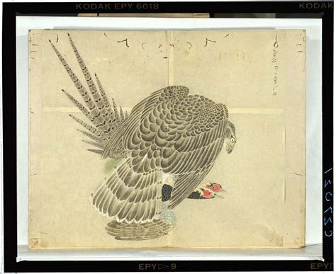 C0027021 禽譜 山禽2 東京国立博物館 画像検索