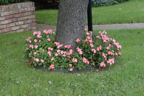 Dirt Doctor Library Topics