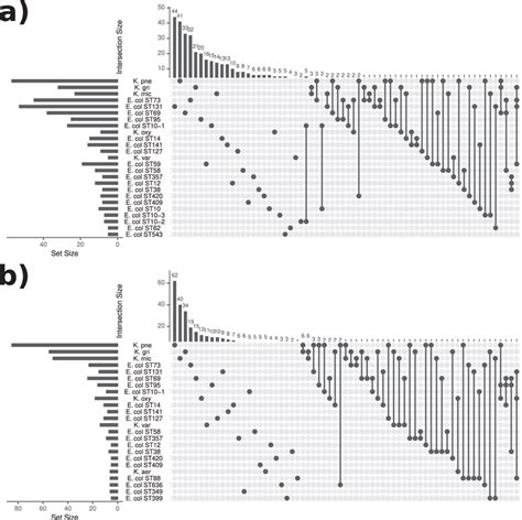 Upset Plot Showing Coexistence Of E Coli Lineages With Klebsiella Download Scientific Diagram