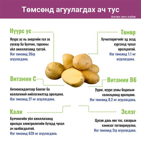 Төмсөнд агуулагдах ач тус Rehamed