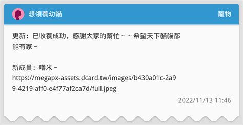 想領養幼貓 寵物板 Dcard