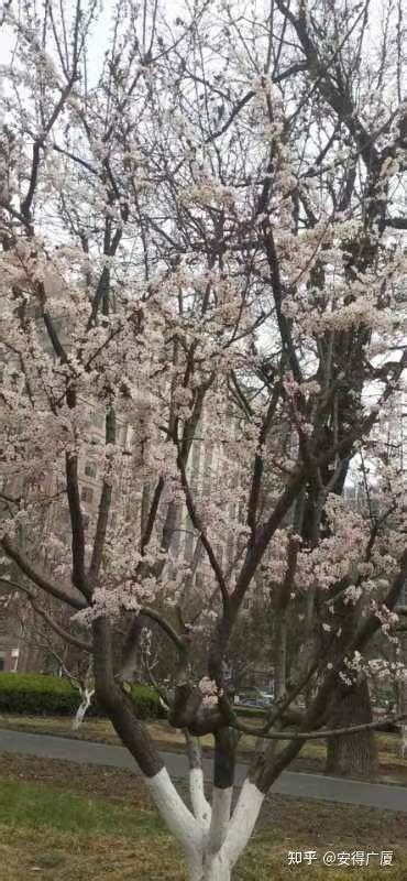 梦溪奇谭系列悬疑小说连载鬼打墙之坟场豪赌 知乎