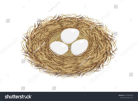 Wild Bird Eggs Over 7 629 Royalty Free Licensable Stock Illustrations Drawings Shutterstock
