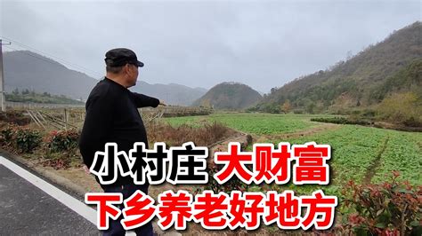 到农村租房养老如何选村庄跟着资本的方向就对了 YouTube
