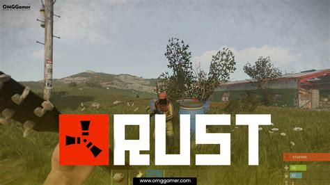 Best Games Like Raft In 2025 Gamers Choice