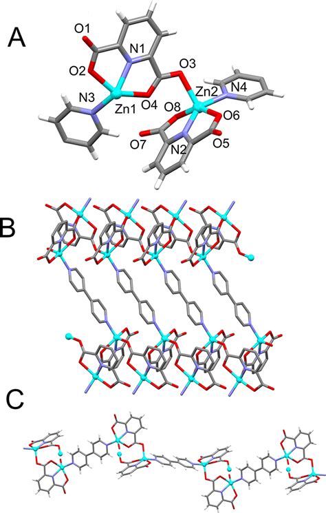 A Asymmetric Unit Of 2 With Partial Labeling Scheme B Perspective