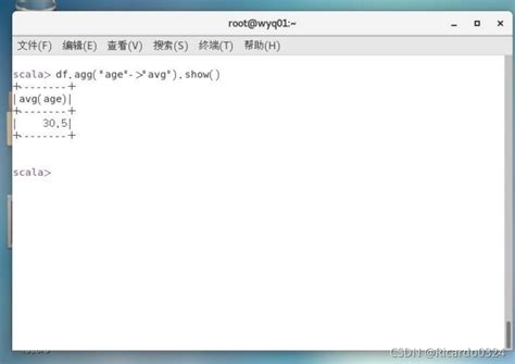 Spark Sql编程编写一个 Sql 查询计算表中员工的平均年龄 Csdn博客