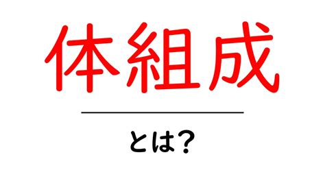体組成とは？健康を知るための基礎知識共起語・同意語も併せて解説！