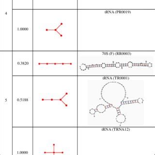 Graphical Representations Of RNA Secondary Structures Top As Tree Download Scientific Diagram