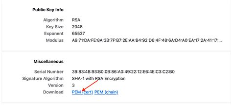 create keystore truststore with certificates programmatically